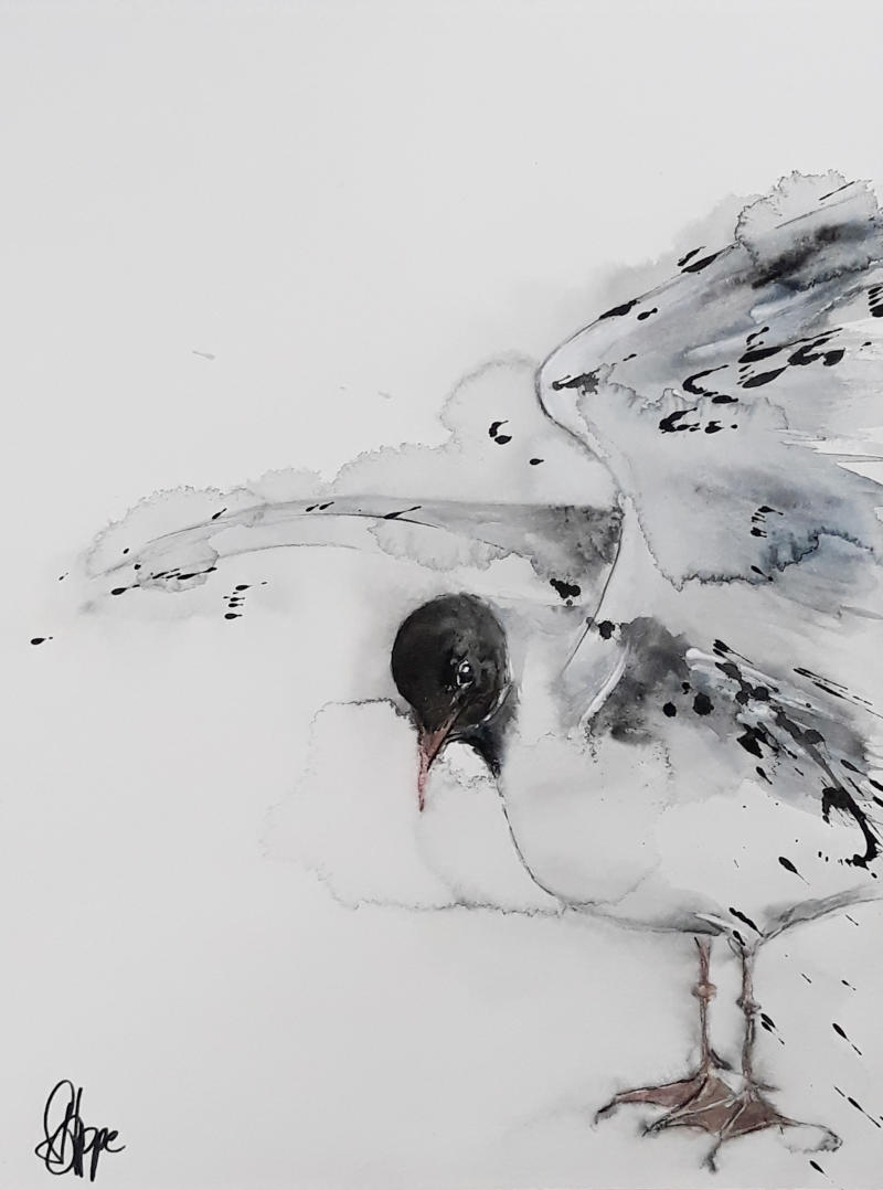 index [www.sandrahoppe.de]